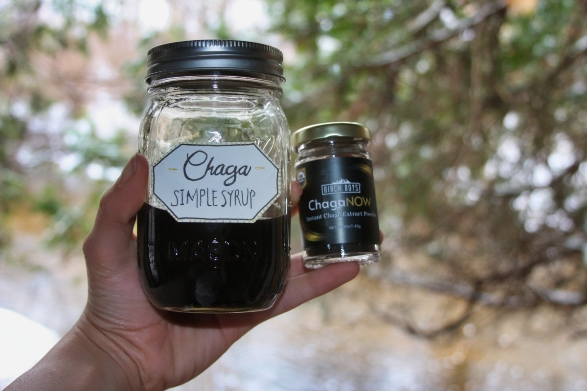 Chaga Simple Syrup Recipe for Sweet Wellness – Birch Boys, Inc.