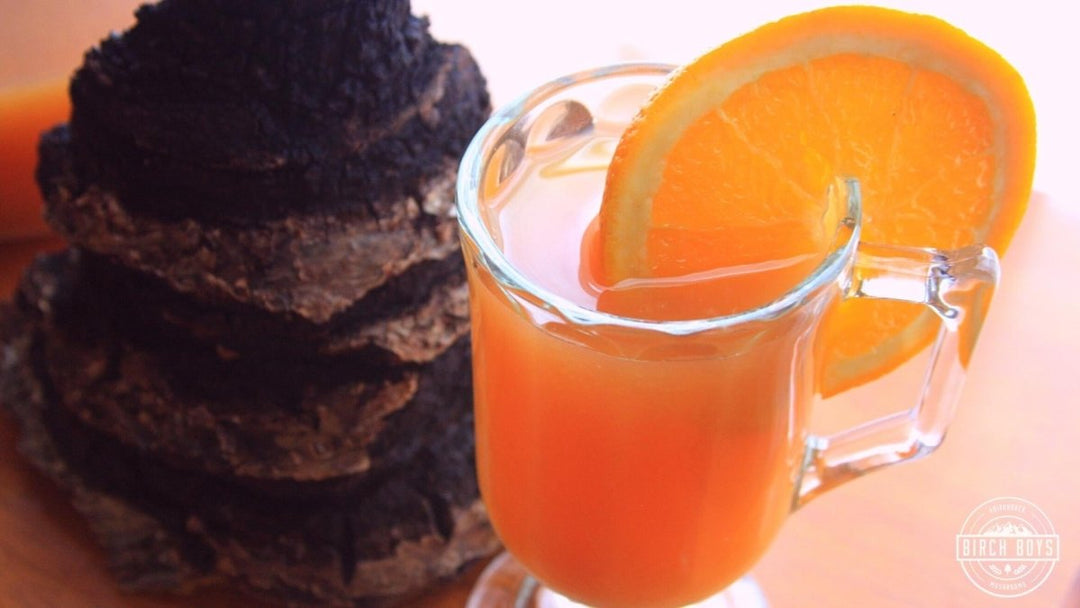 Chaga Spiced Cider: A Cozy Autumnal Beverage Recipe – Birch Boys, Inc.