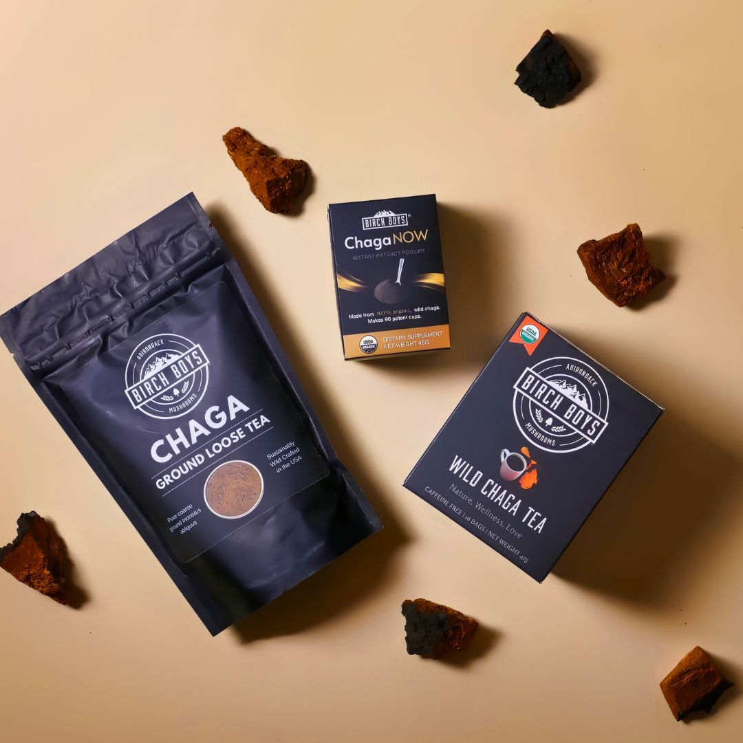 The Ultimate Guide to Chaga – Birch Boys, Inc.