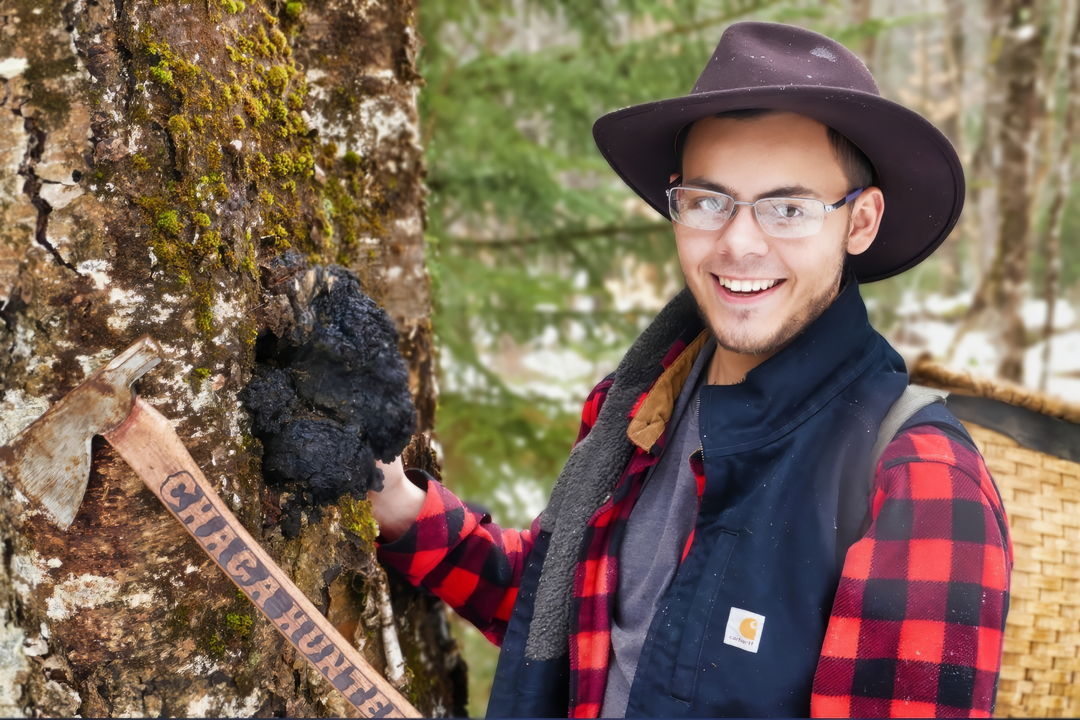 The Ultimate Guide to Chaga – Birch Boys, Inc.