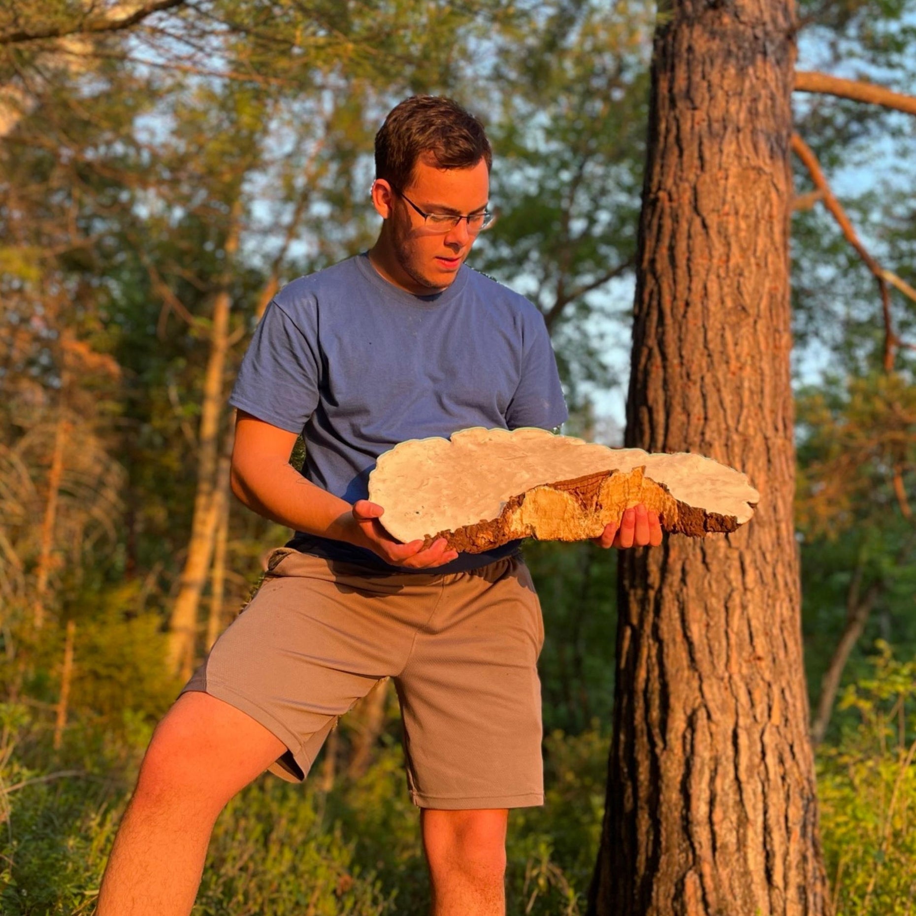 Fungi Five Extract - Quintessential Health Elixir – Birch Boys, Inc.