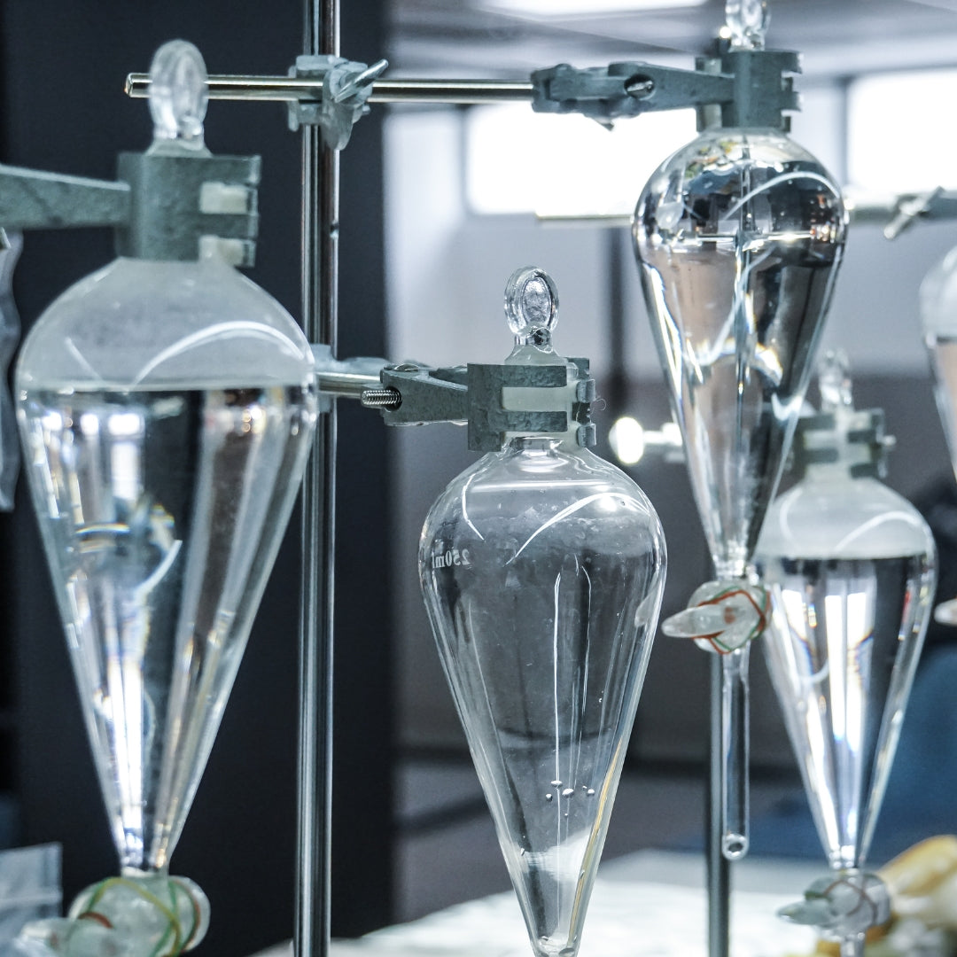 The Science of Mushroom Tincture Making – Birch Boys, Inc.