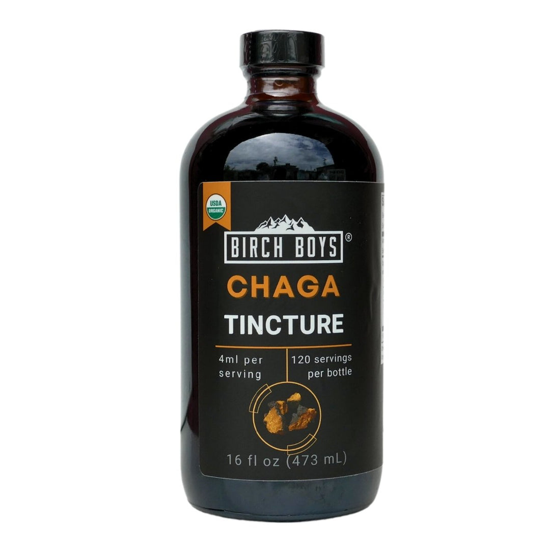 Chaga Tincture: Potent Immunity in Drops – Birch Boys, Inc.