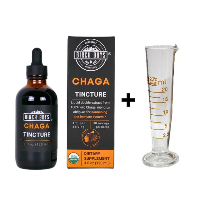 Chaga Tincture Potent Immunity In Drops